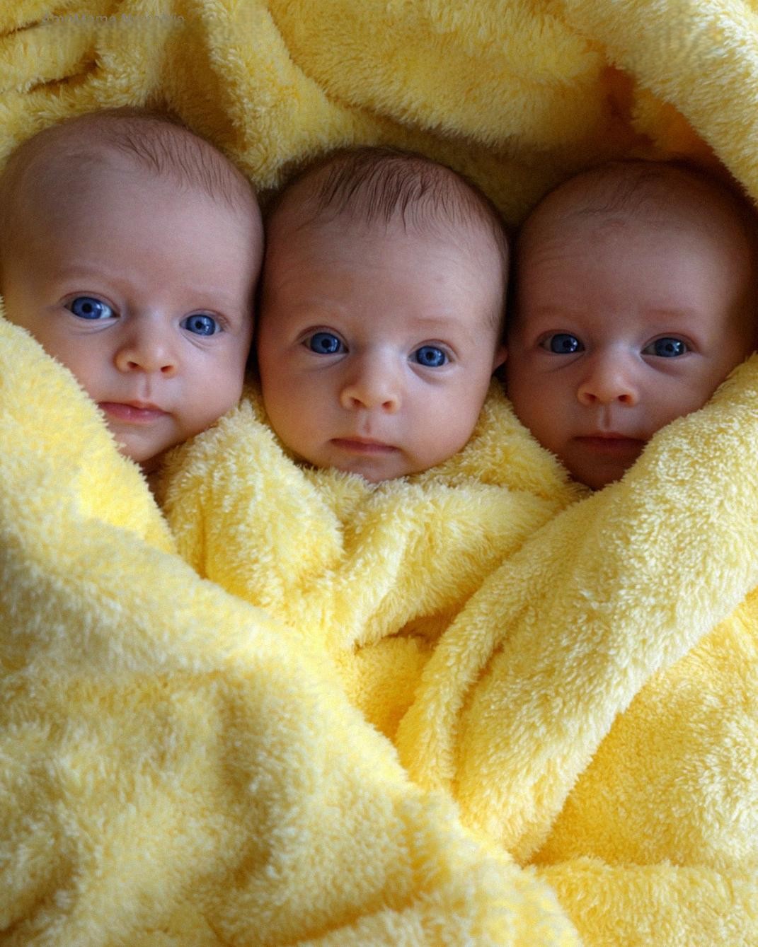My Husband Abandoned Me with Newborn Triplets, Years Later I ...