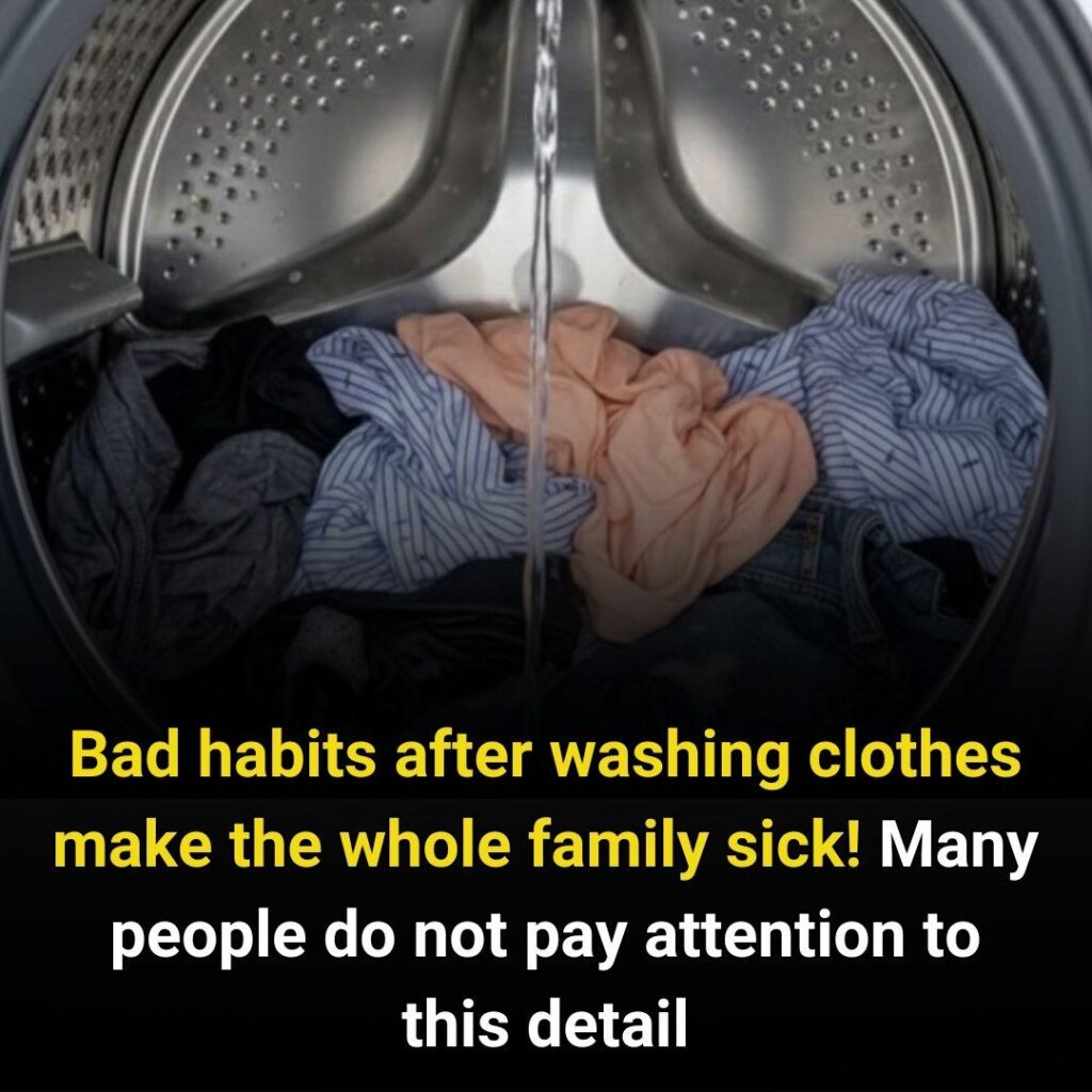 Bad Habits After Washing Clothes That Can Make the Whole Family Sick ...